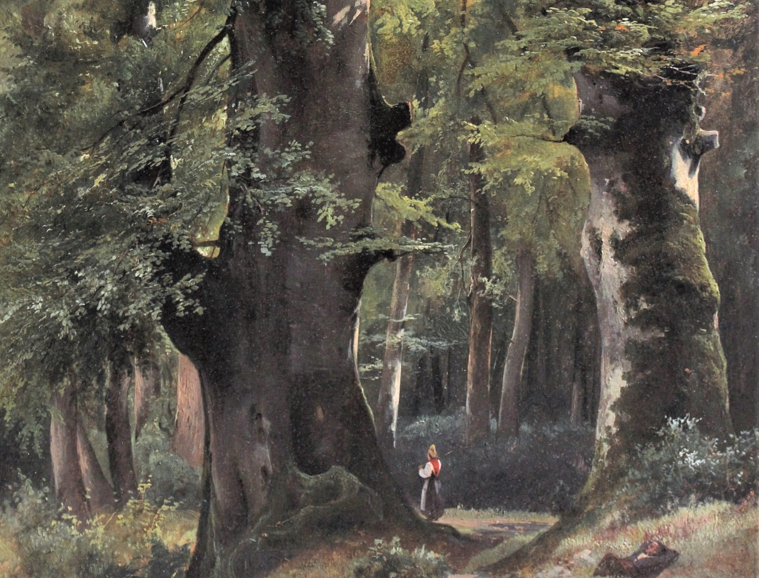 Repos en forêt de Compiègne | Galerie Christian Le Serbon